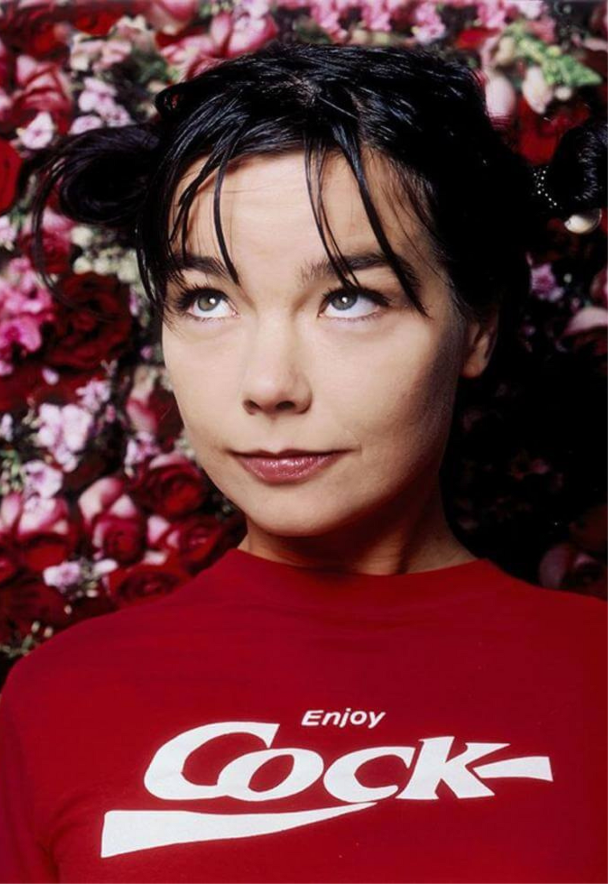 Poster: Björk – Visual Print
