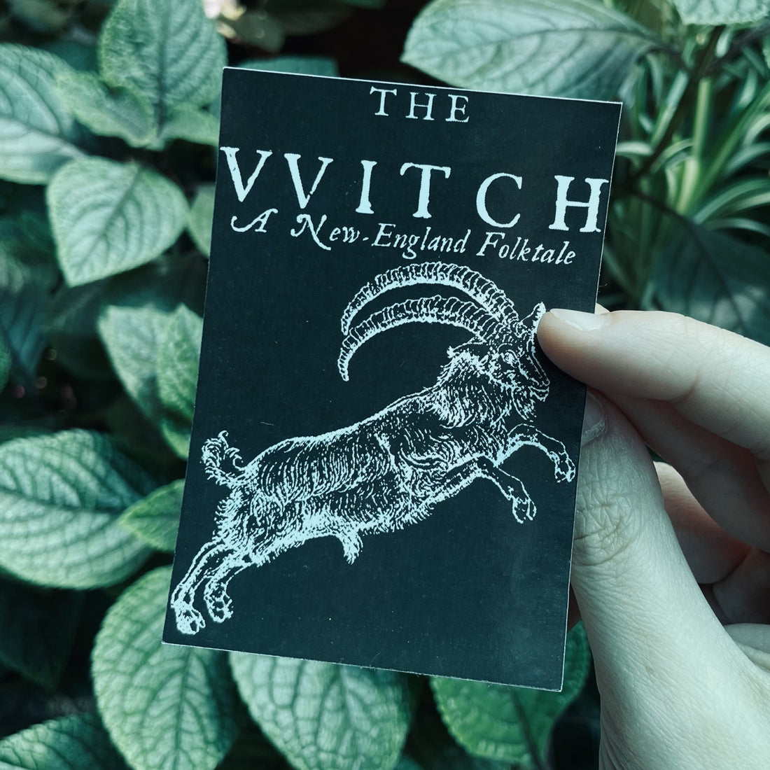 Sticker The Witch – Visual Print