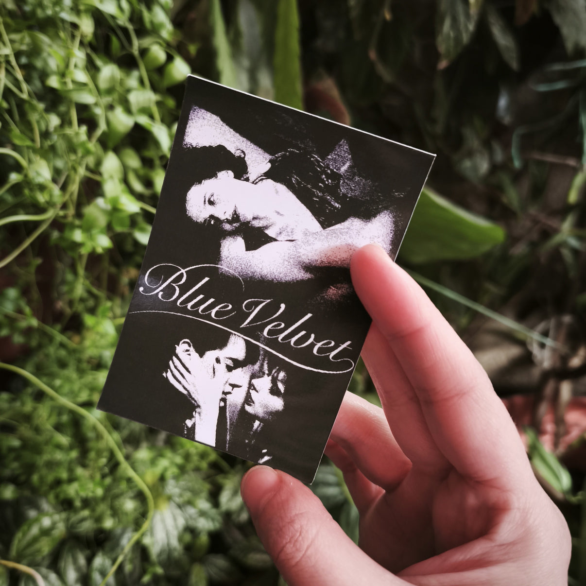 Sticker Blue Velvet – Visual Print